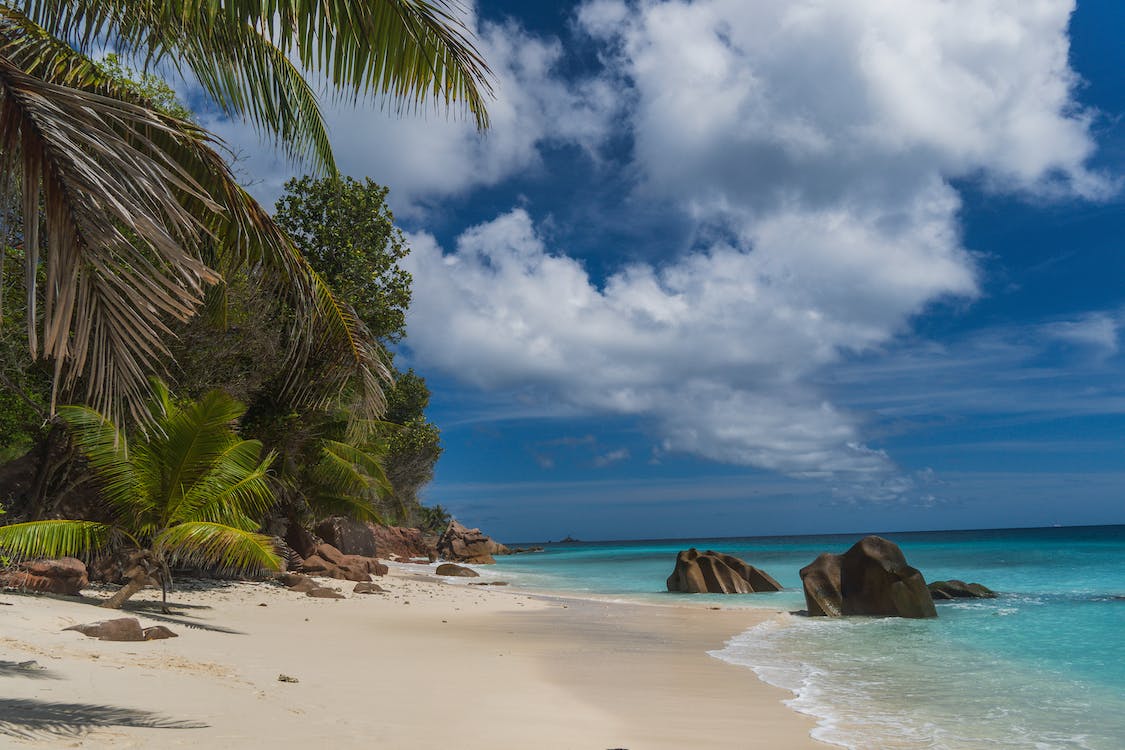 Les 5 principaux ports en Seychelles - Eurisles